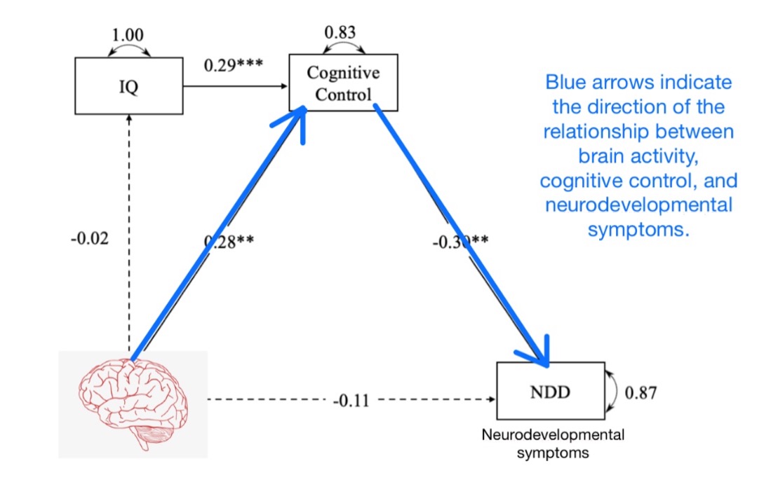 Research Findings | Boston Children's Hospital - ob欧宝体育app下载